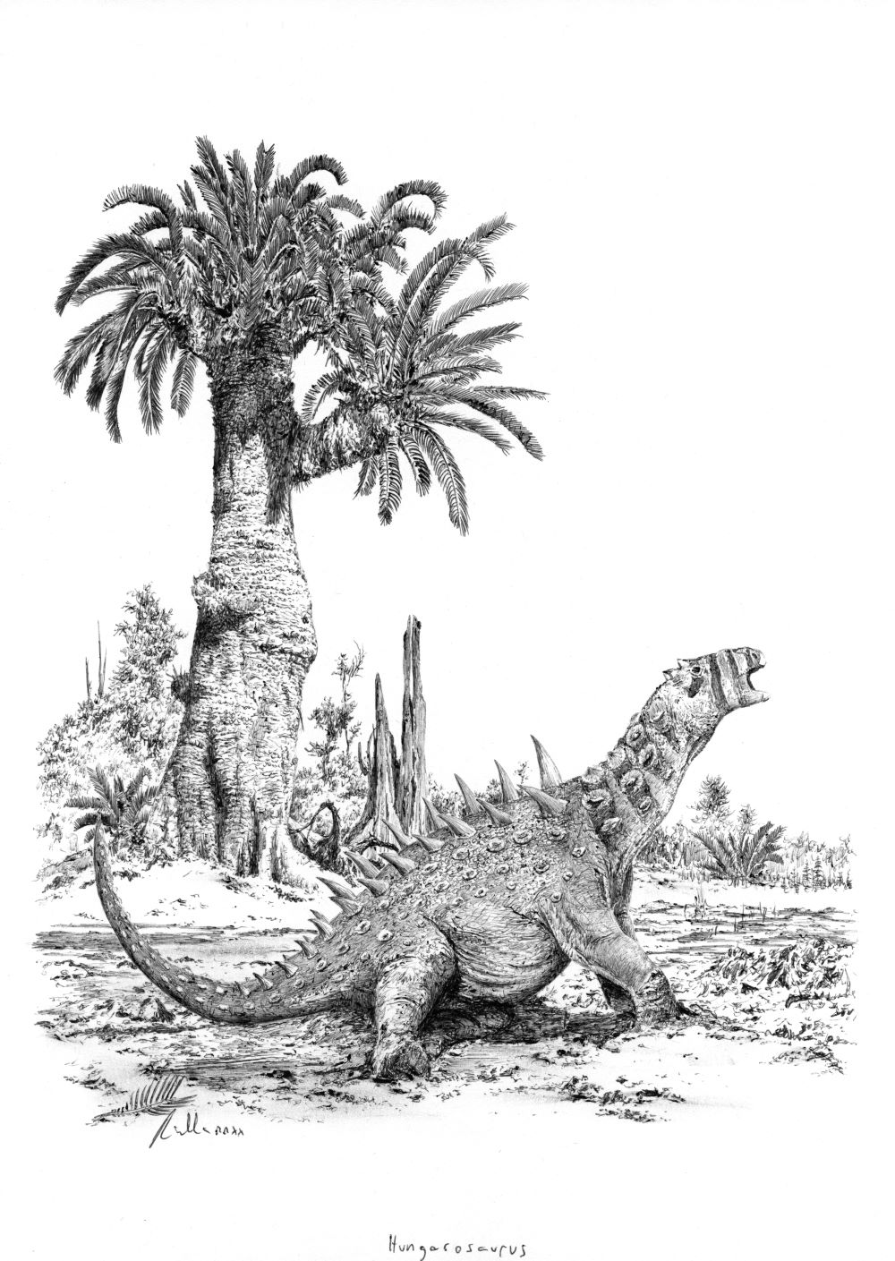 Tajemství „maďarského ještěra“ | DinosaurusBlog