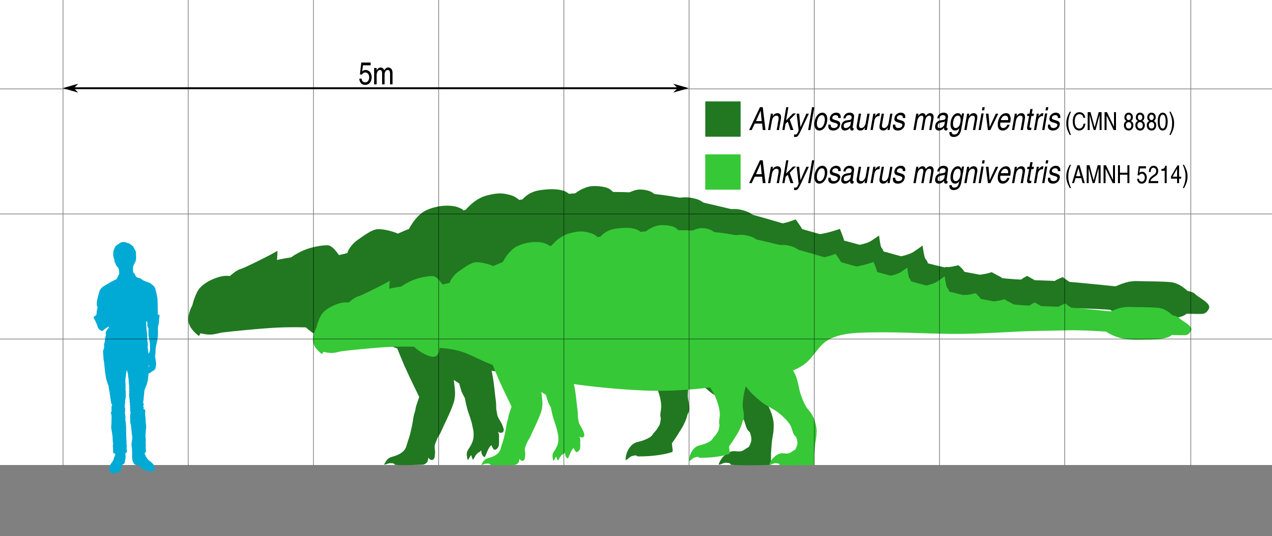 Existoval třicetitunový obrněný dinosaurus? | DinosaurusBlog