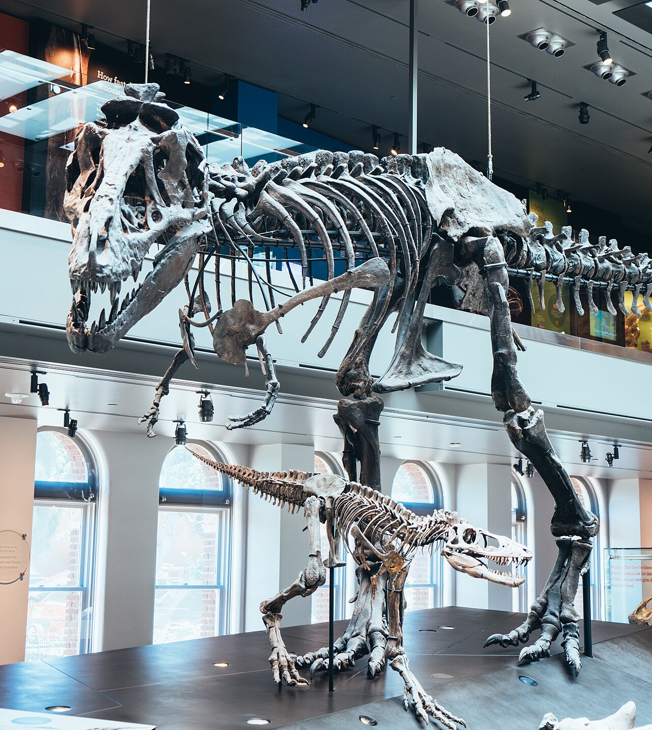 Lovec od řeky Styx | DinosaurusBlog